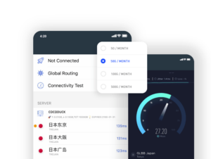 COCODUCK - 国际网络VPN加速服务提供商