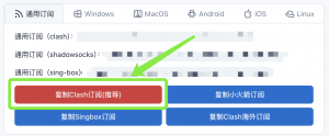 Windows系统如何使用COCODUCK VPN? – COCODUCK
